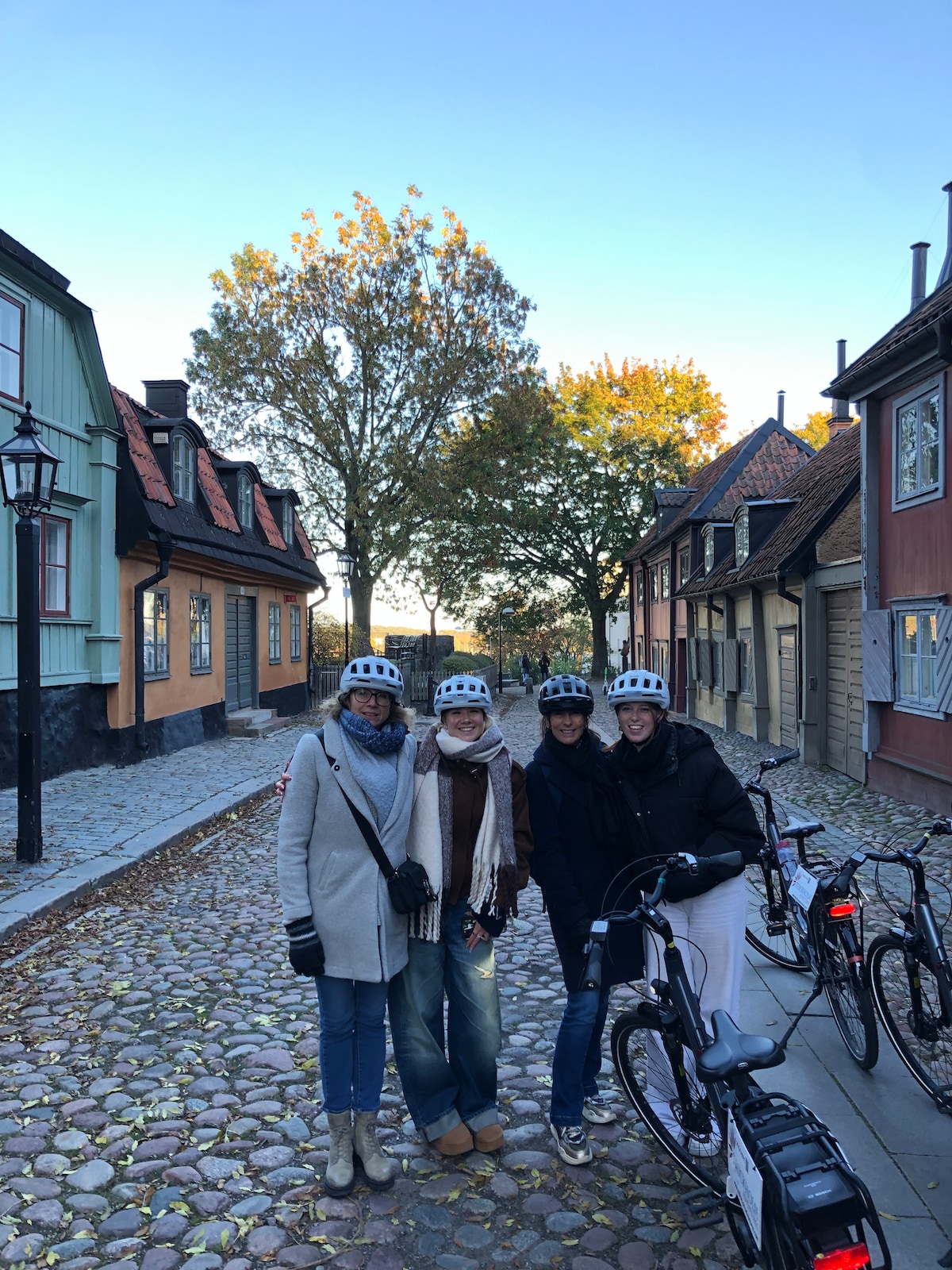 Explore Södermalm by E-bike with a local guide