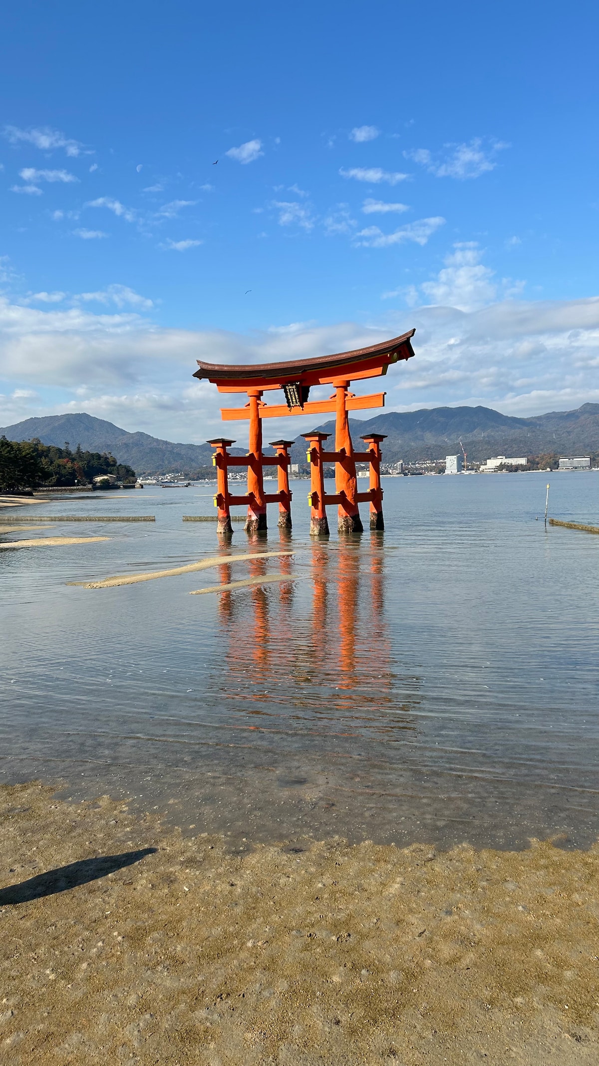 Explora el patrimonio cultural de Hiroshima y Miyajima
