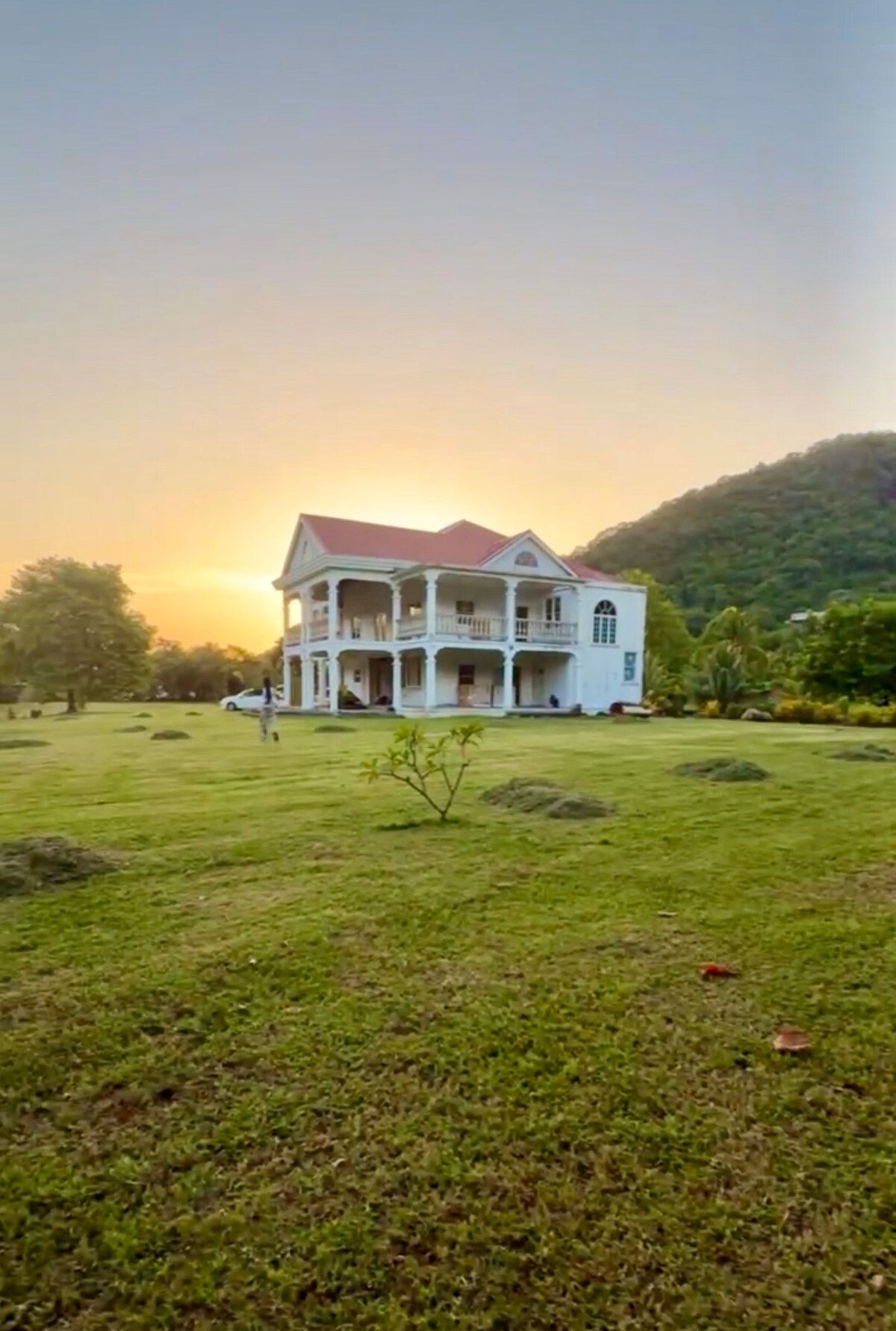 Explore Tropical Fruits on an Island Estate