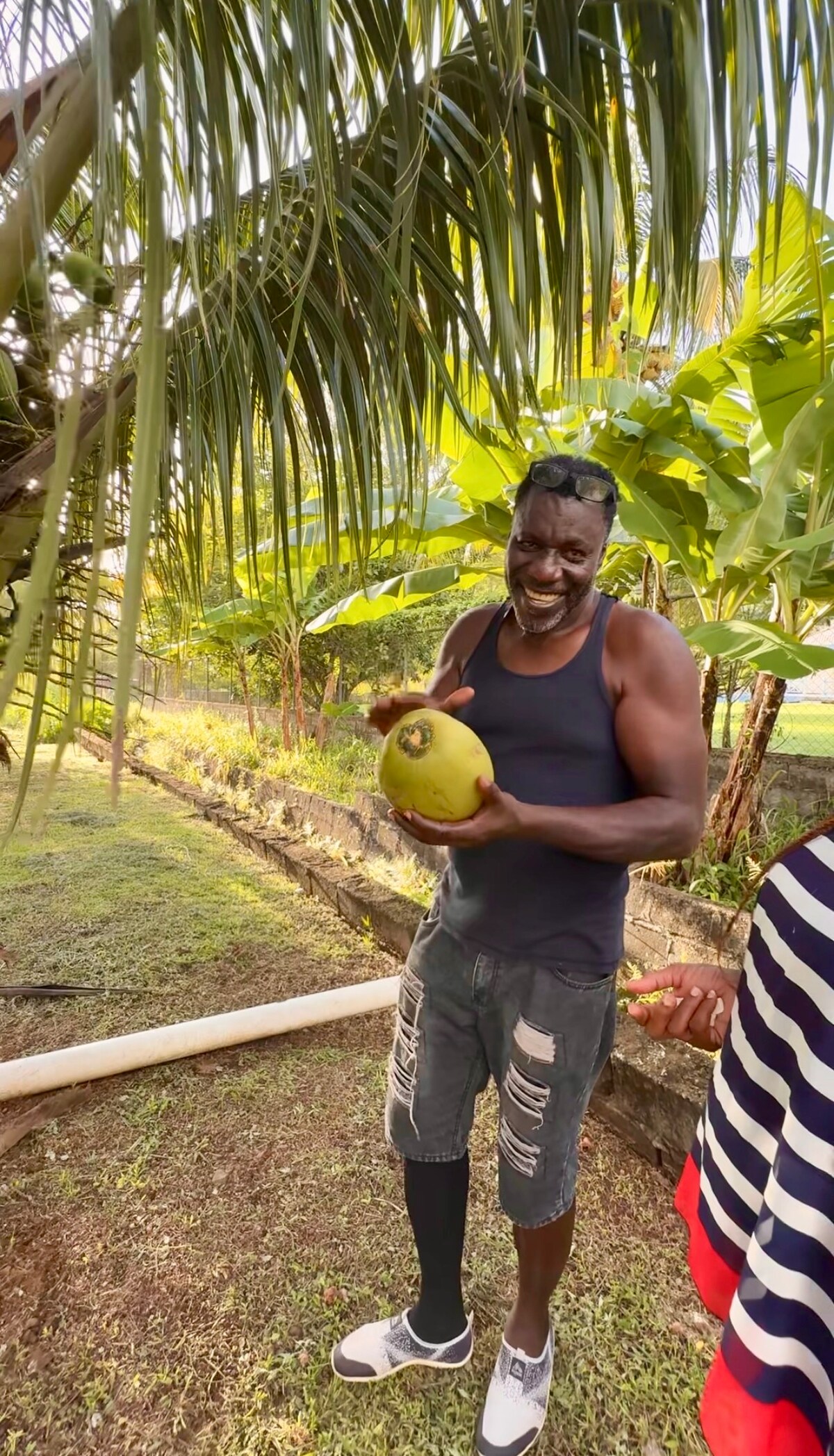 Explore Tropical Fruits on an Island Estate