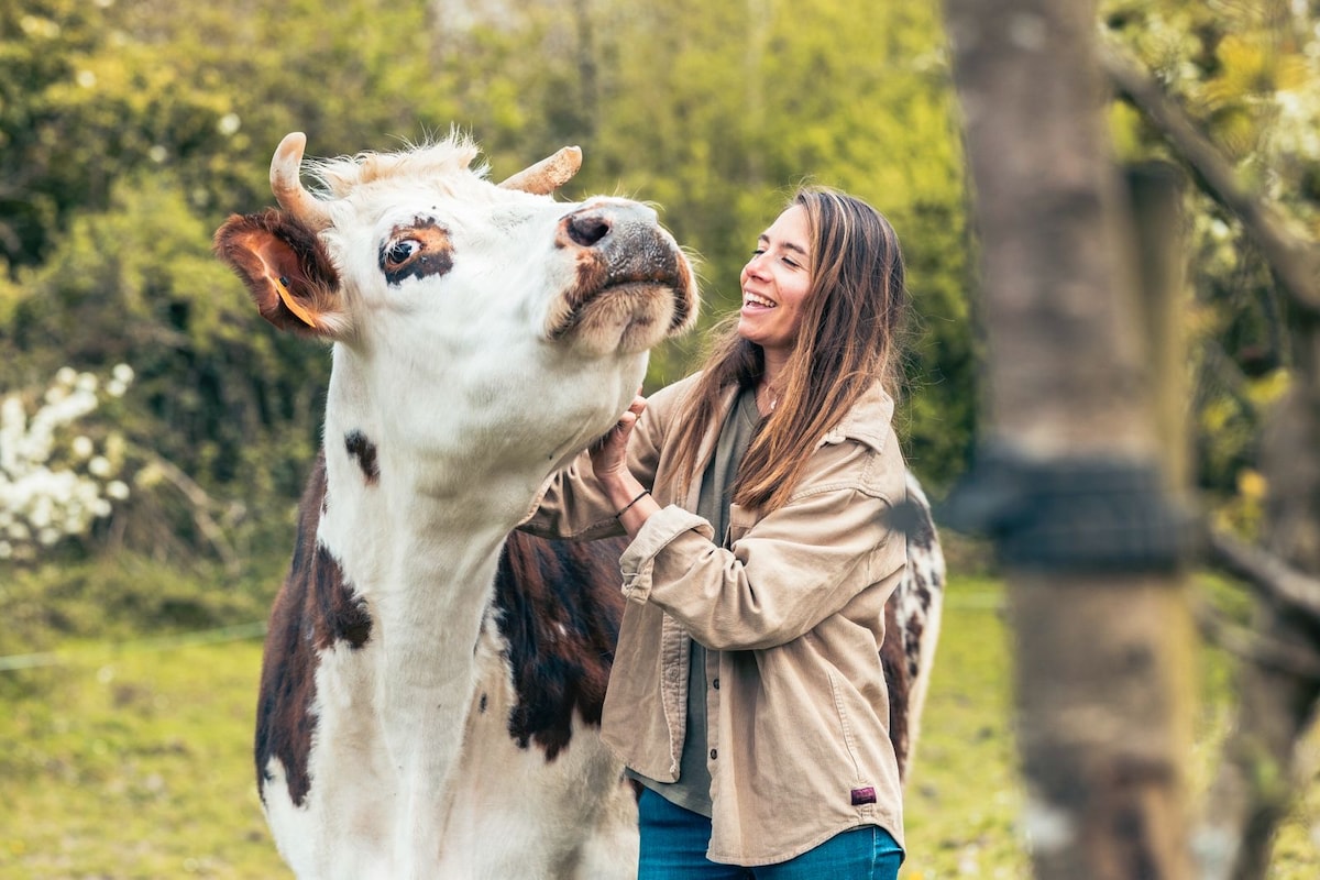 Reconnecting with yourself through cows