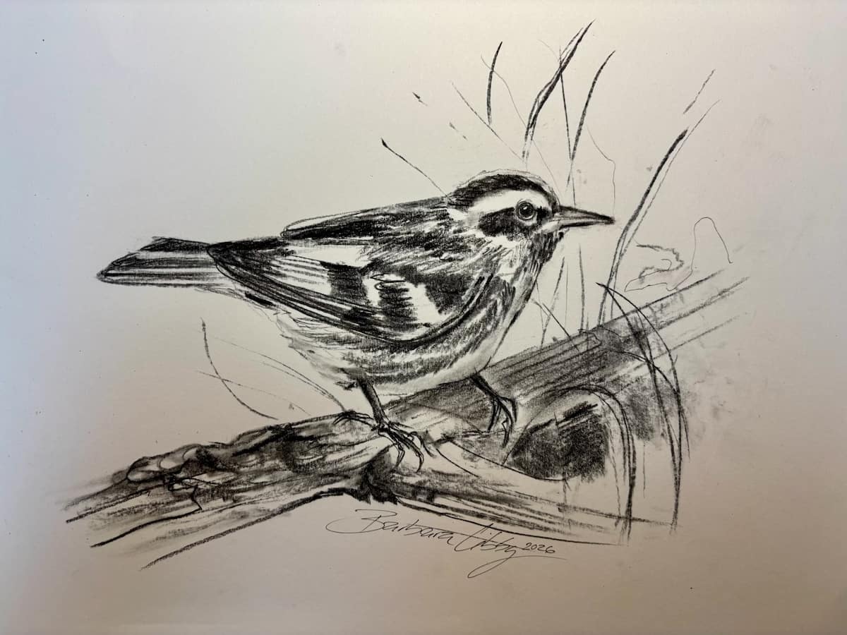 Turn willow into charcoal with local artists