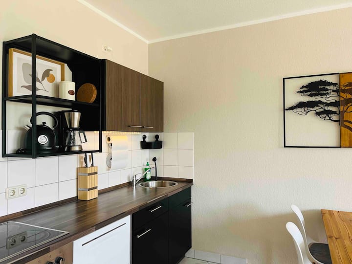 Modernes Apartment Fußläufig Zur Uniklinik Dresden - Dresden