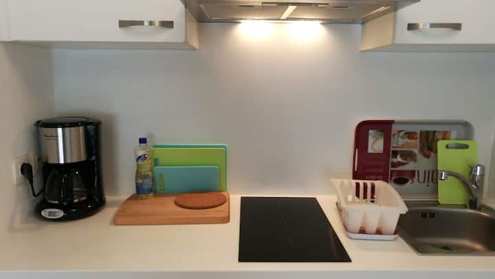 Nice Studio With Balcony & Wifi - Beaulieu-sur-Mer