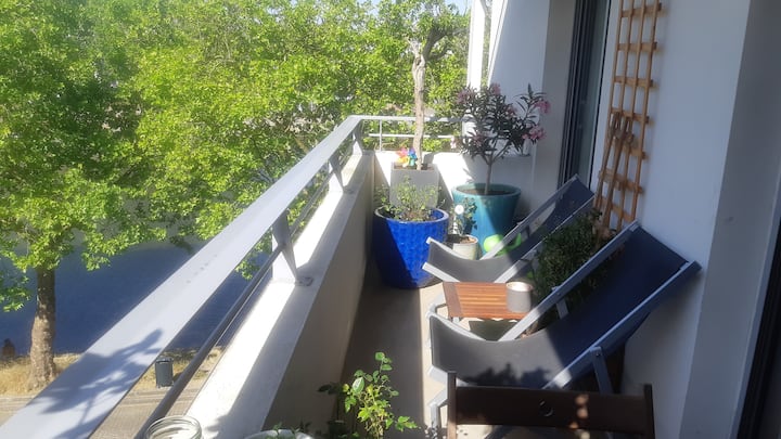 Cite Des Congres - 2 Pieces - Nantes