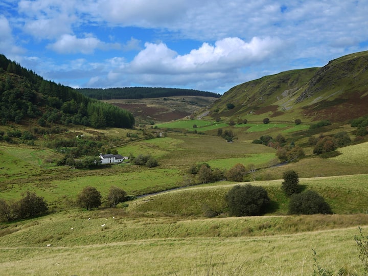 Dolgoch Hostel Tregaron- Male Dormitory Beds. - Wales