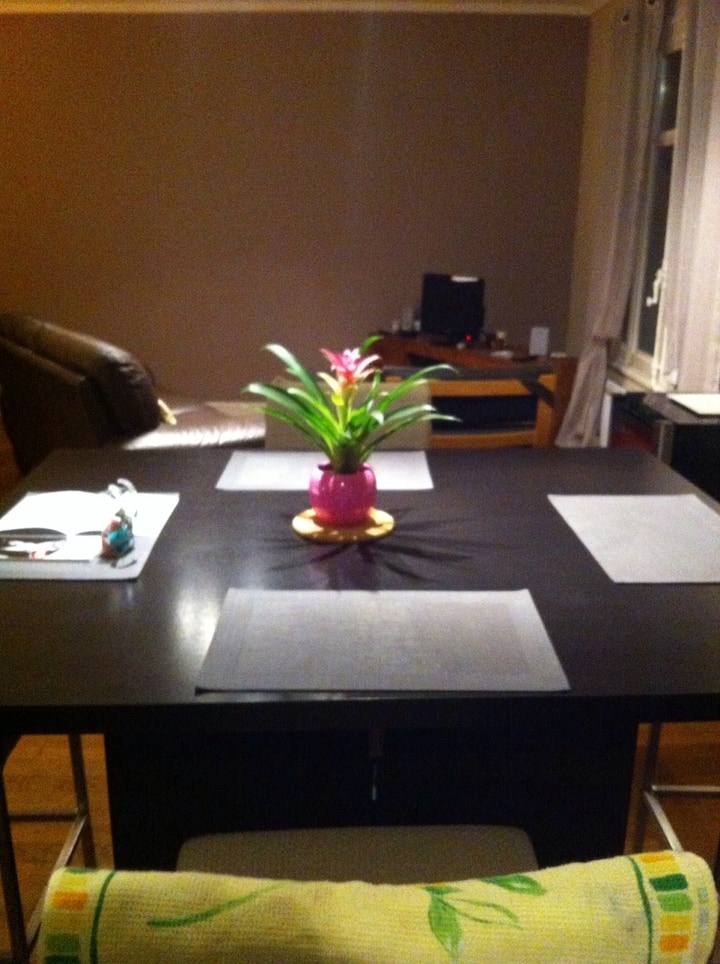 Lyon 03, Quartier Montchat, Proximité Part Dieu - Bron