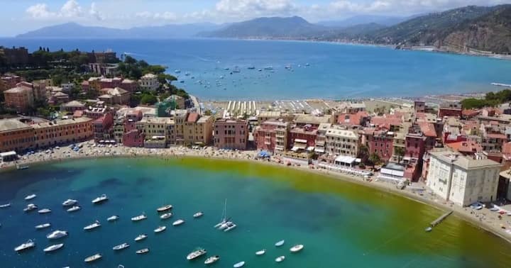 Appartamento Sara -
Citra 010059-lt-2757 - Sestri Levante