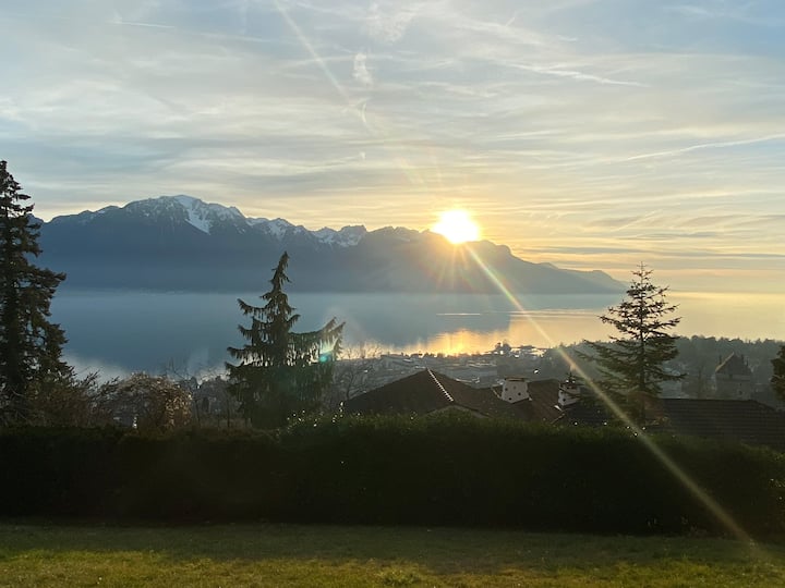 Perfect For Montreux Christmas Markets - Vevey