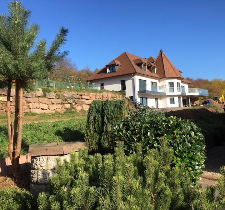 Le Hahnenberg En Alsace - Schirmeck