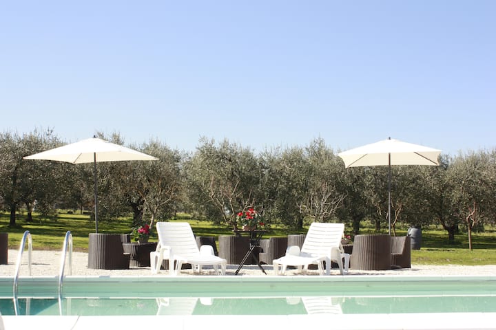 Appartamento Orchidea - Viterbo