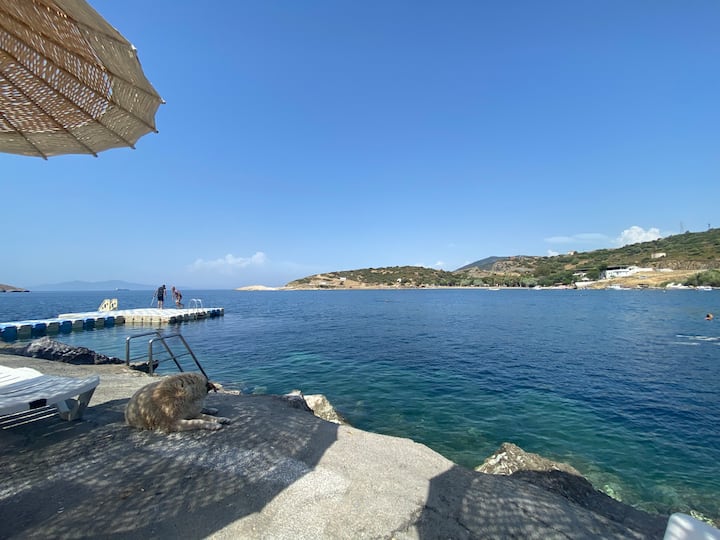 Kendi Koyu Olan Sitede Full Eşyalı - Foça