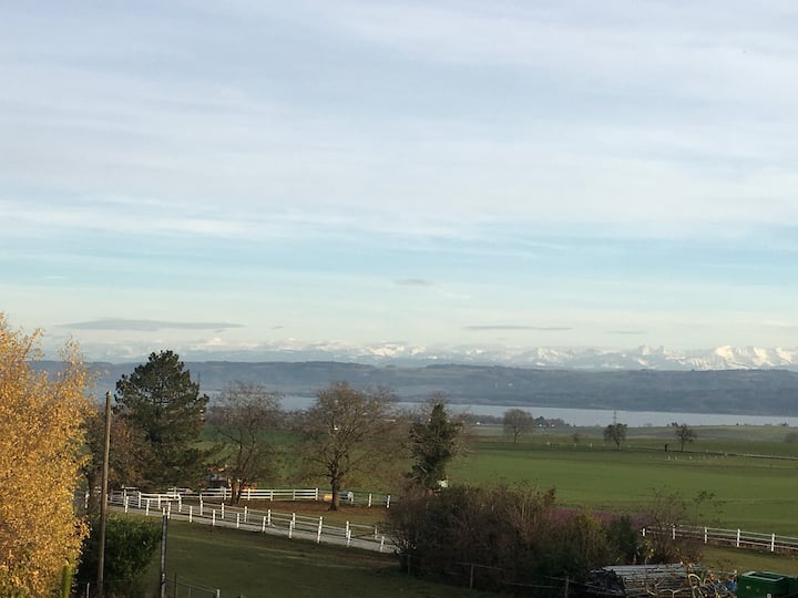 Fullness - Yverdon-les-Bains