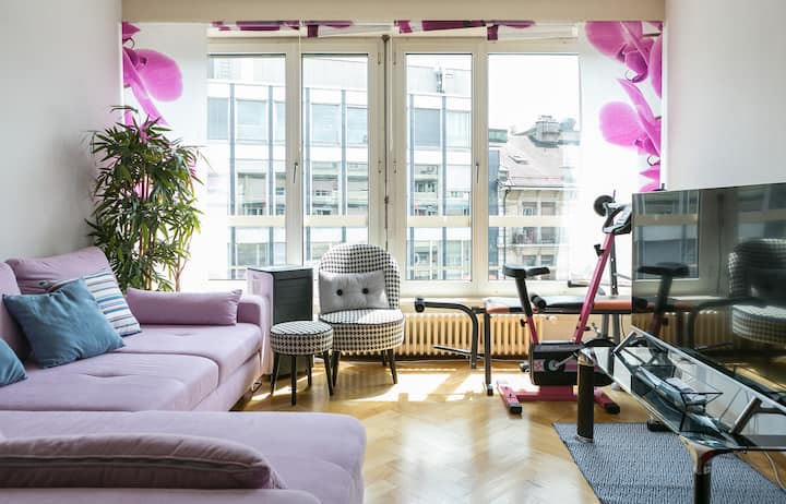 Beautiful, Central And Confortable - 2 Rooms - Geneva