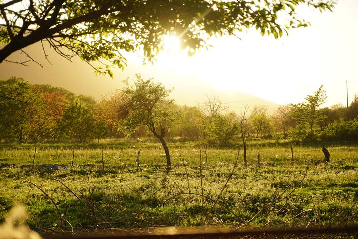 Coreno Ausonio Vacation Rentals & Homes - Lazio, Italy | Airbnb