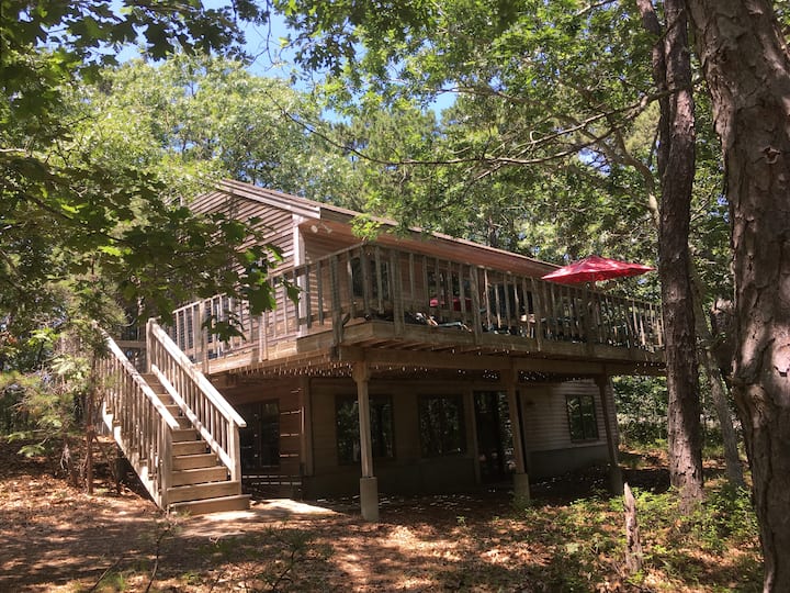 Wellfleet Oceanside- Light, Airy Contemporary Home - Wellfleet, MA
