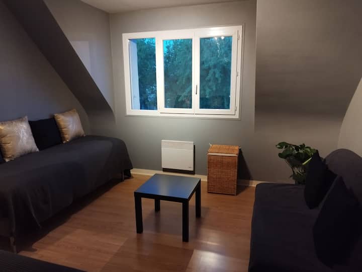 Bel Appartement, Très Calme, En Plein Centre - Montfort-sur-Meu