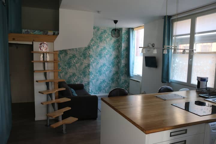 Studio Centre Ville - Toulouse