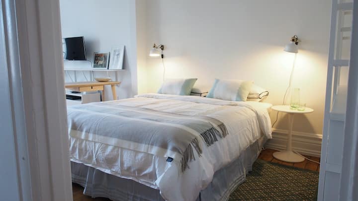 Charming Apt For 1 Or 2 P. In Mile-end - Monthly - Montreal