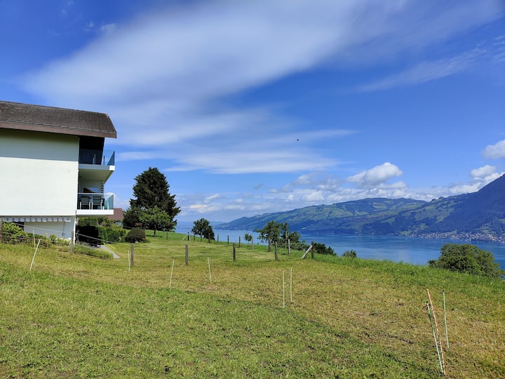 Panoramablick Auf See Und Berge - Kiental BE