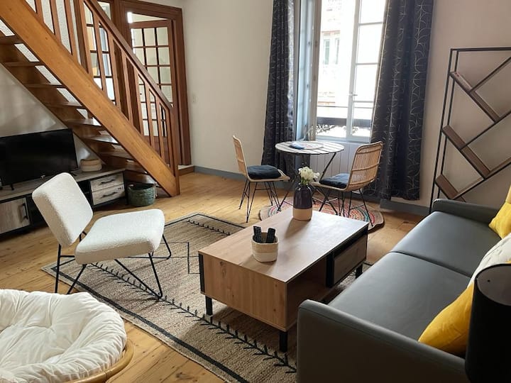 Le Duplex De La Reine- Cosy T3 Au Cœur De Chambéry - Chambéry
