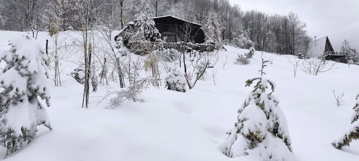 Yamaçevim
Doğadaki Yeriniz... - Törökország
