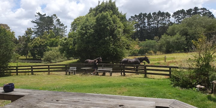 Animal Lovers - Waiuku