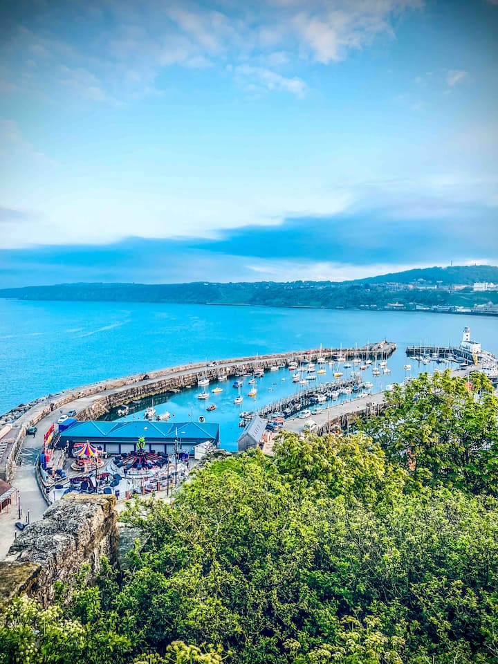 Blue Shell (3 Minutes Walk To The Beach) - Scarborough