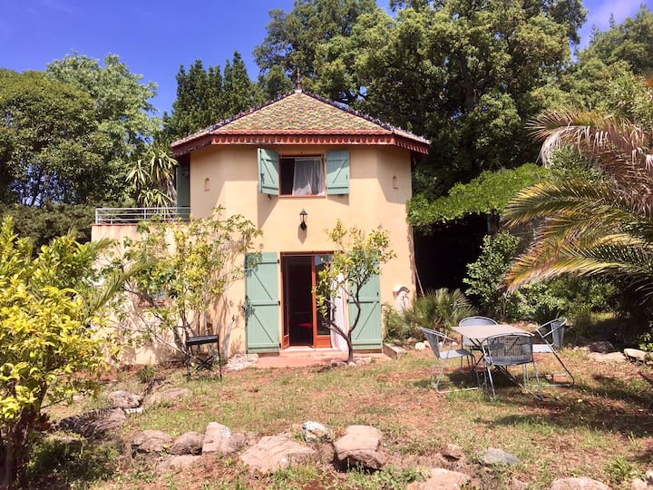 Un Petit Coin De Paradis Dans Jardin Exotique - Pampelonne Beach