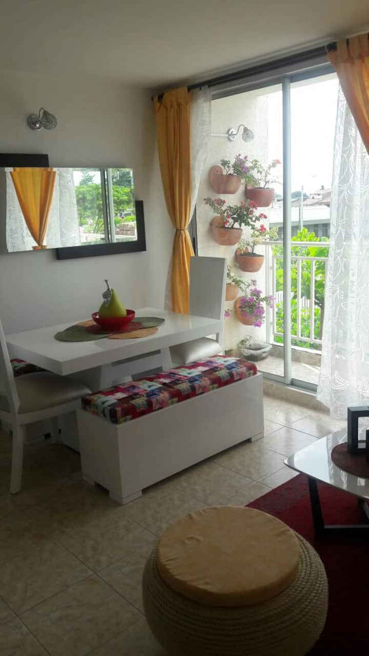 Habitacion Con Baño Privado En Lindo Apartemento - Palmira