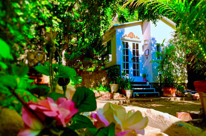 Romantic Hollywood Hills Guest House+views+garden - Los Angeles, CA