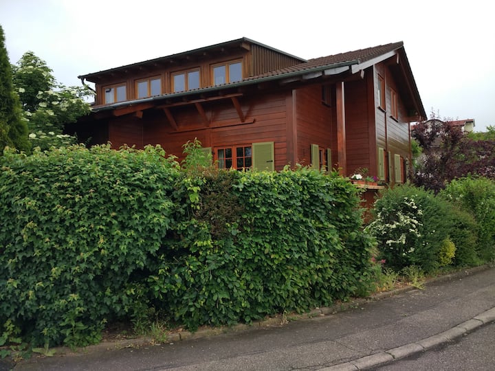 Gemütliches Appartement - Cozy Apartment - Sinsheim