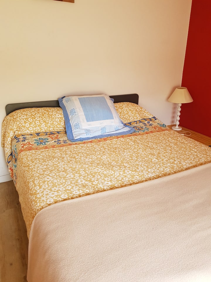 Logement Entier 20 Mn Du Puy Du Fou. - Cholet