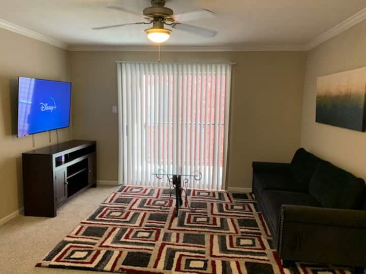 Rodeo*free Tmc Shuttle* Texas Medical Center Suite - Houston, TX