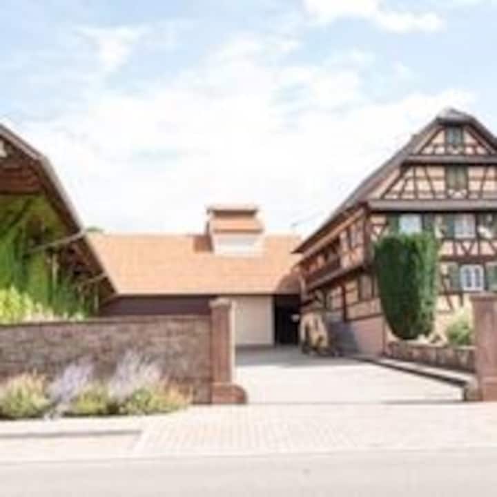 Ferme Typique Alsacienne Appartement - Brumath