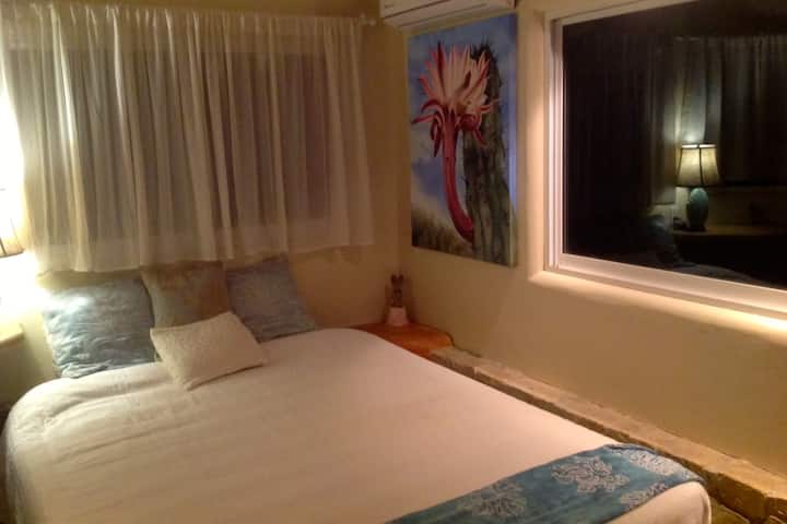 Air Art Studio In Secret Garden - San José del Cabo