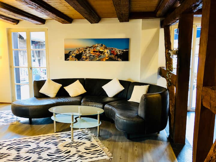 Spacieux Appartement Alsacien + Grande Terrasse - Bartenheim