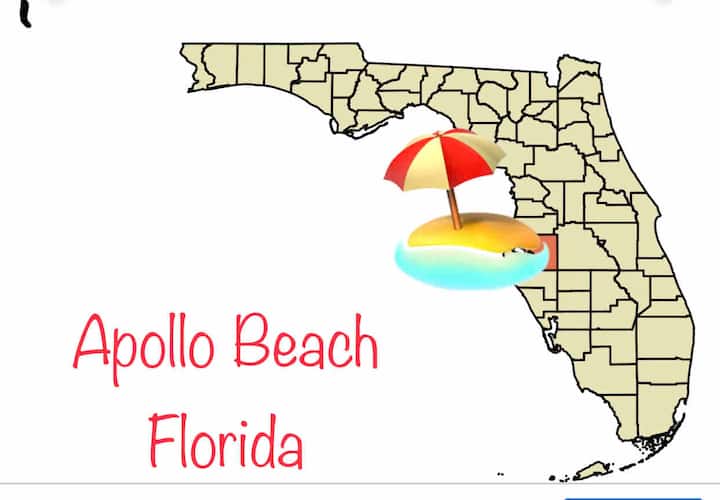 Salt-n-fun Life Ii - Apollo Beach, FL