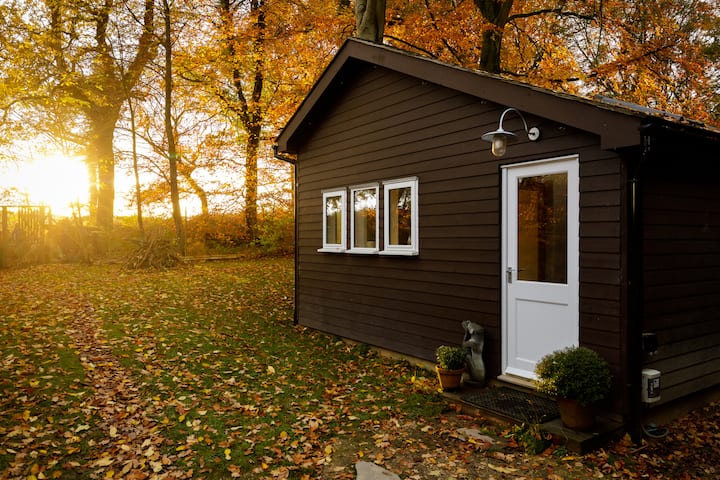 Woodland Cabin On Edge Of The Forest - Marlborough