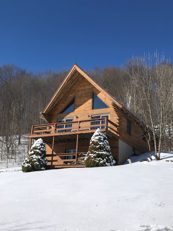 Katie O'bryan's Cabin In Allegany, New York - Ellicottville, NY