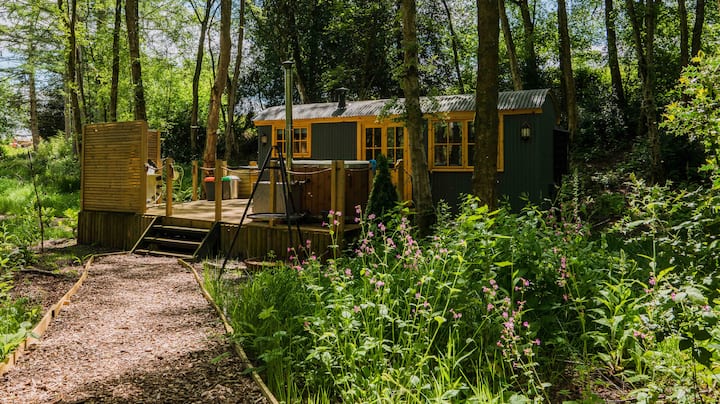 Romantic Cosy Woodland Shepherds Hut With Hot Tub - Dorset