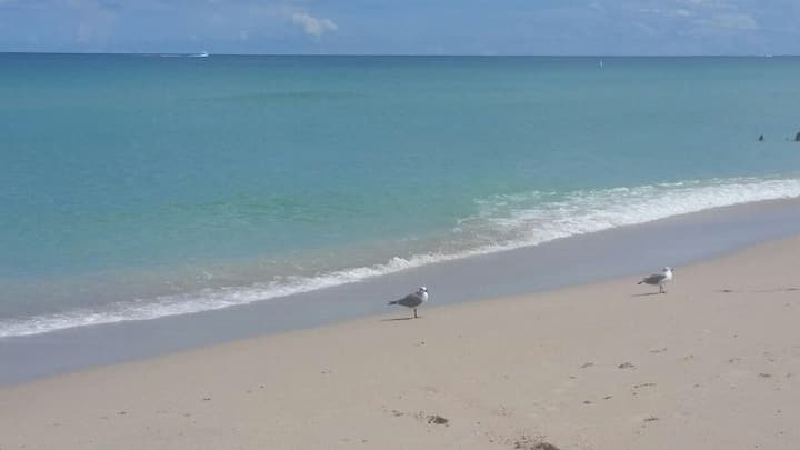 Cozy Apartment, Beautiful Beach 1-3 -