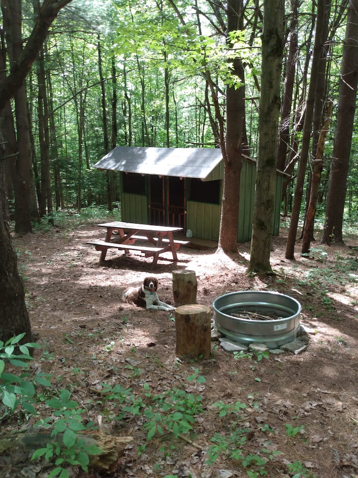 Coyotes Den Rustic Cabin - Dryden, NY