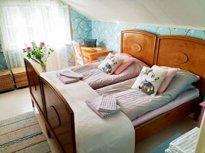 Tunnelmallinen Matkustajakoti Helgas - Porvoo