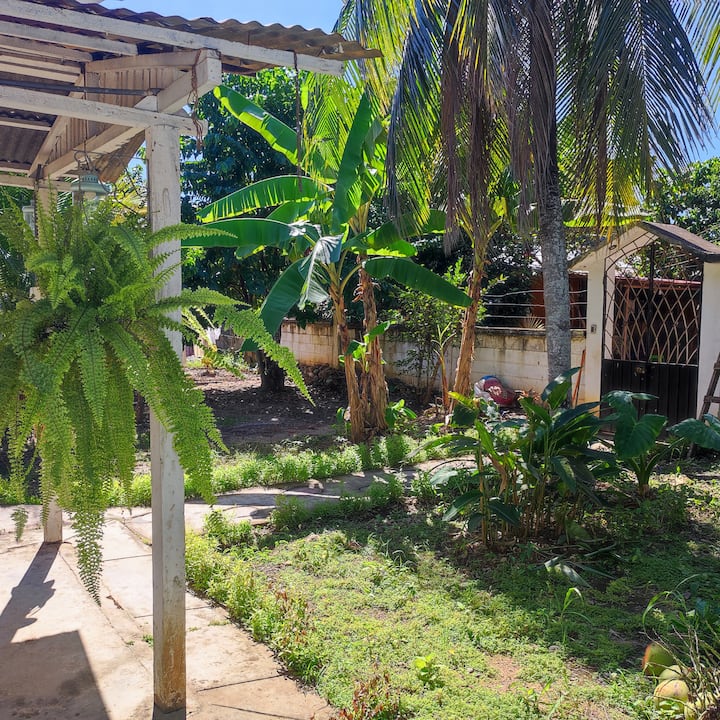 Un Eden En El Centro De La Ciudad - Puerto Maldonado