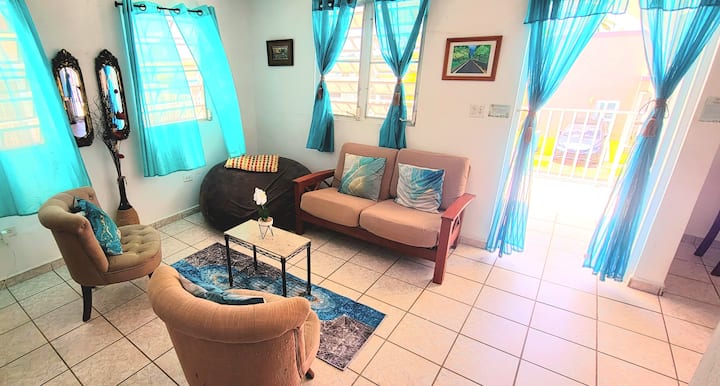 Tropical Breezy -2 Rooms- 10mins To Airport - Puerto Rico