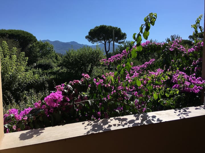 Casa Di Anna - Forte dei Marmi