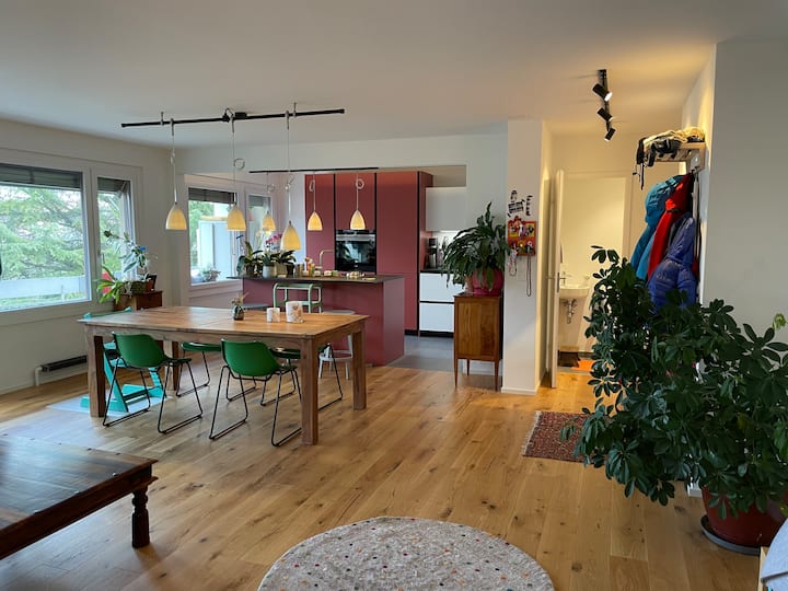 Appartement Vue Sur Le Jura - Nyon