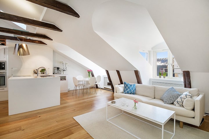 Loft Apartment In The Middle Of The City - Stockholm