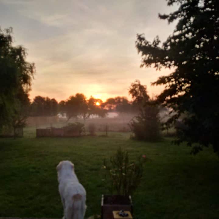 Ruhe Und Gelassenheit - Anklam